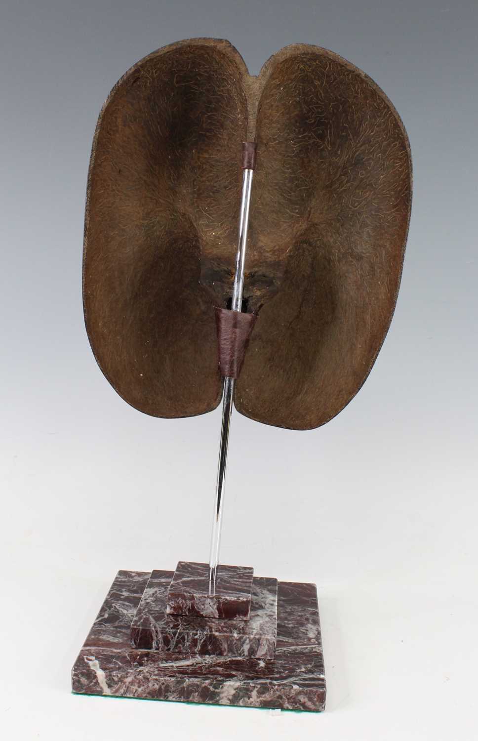 A half coco de mer nut (lodoicia maldidica), being of polished form and ...