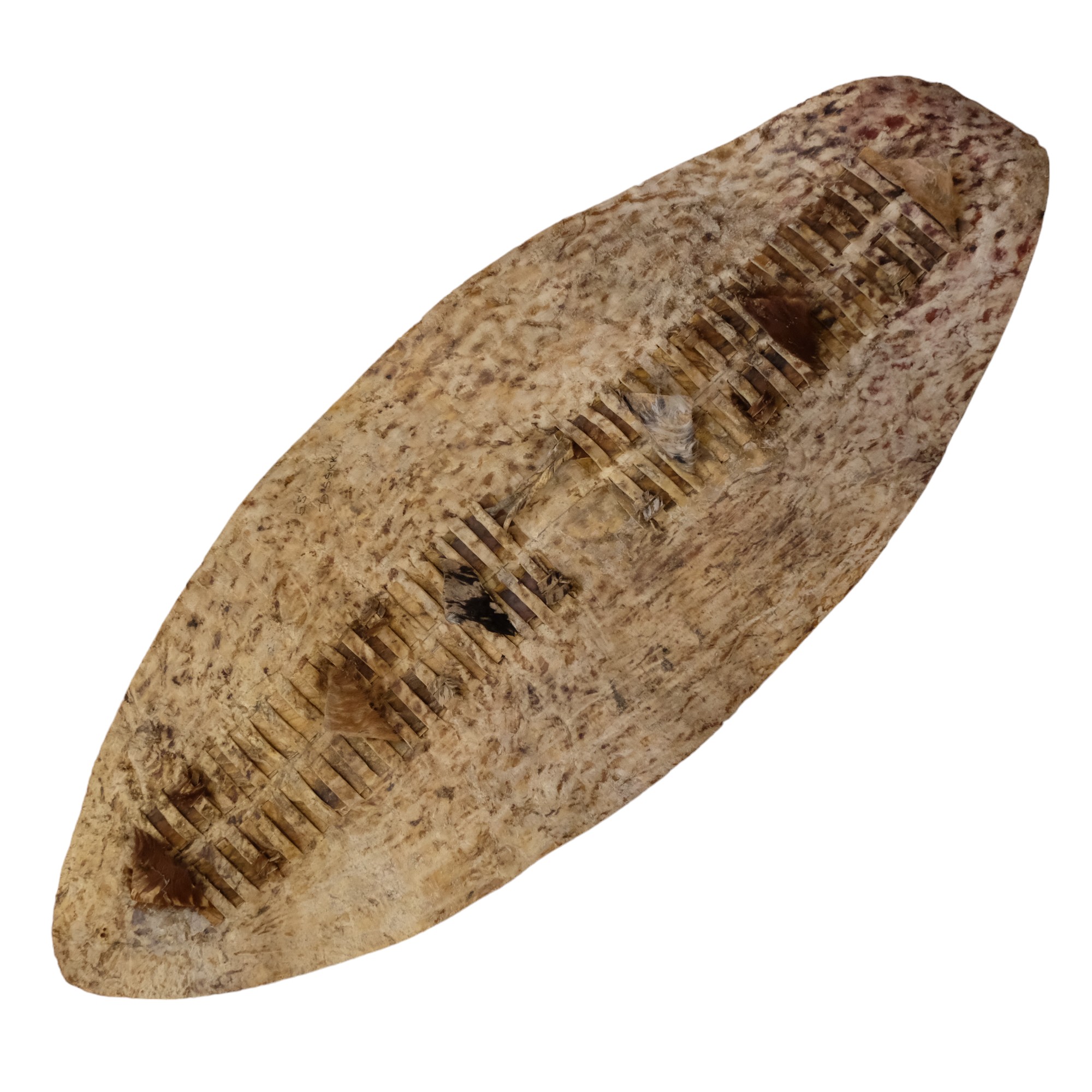An Zulu shield / isihlangu, 138 cm