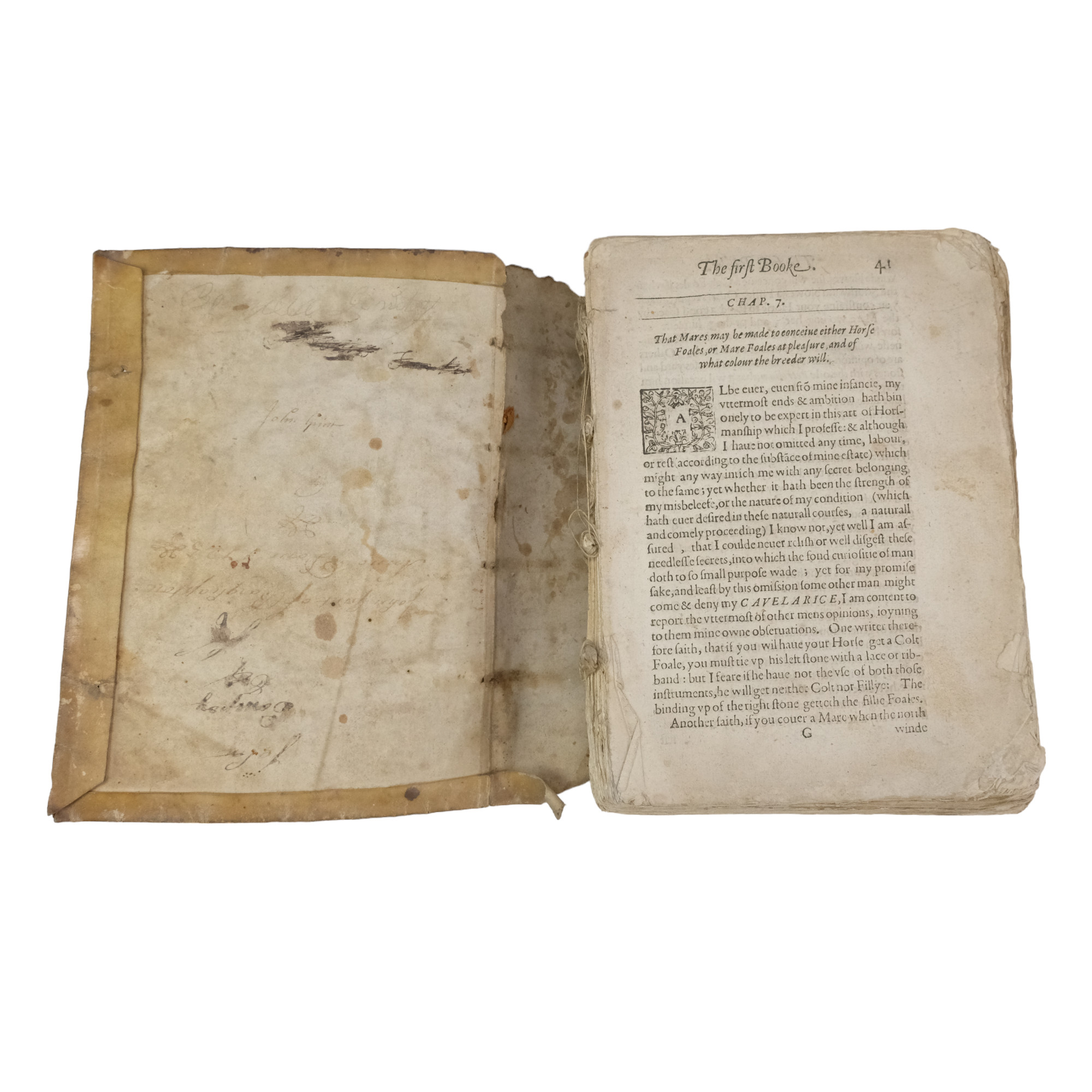 Gervase Markham. "Cavalarice, Or The English Horseman: Contayning all ...