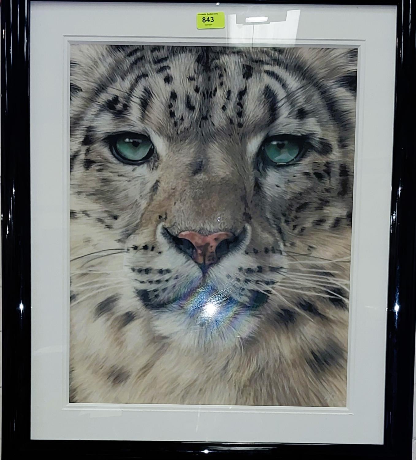 VALERIE SIMMS - pastel on paper, big cat portrait, signed, 49 x 38cm ...