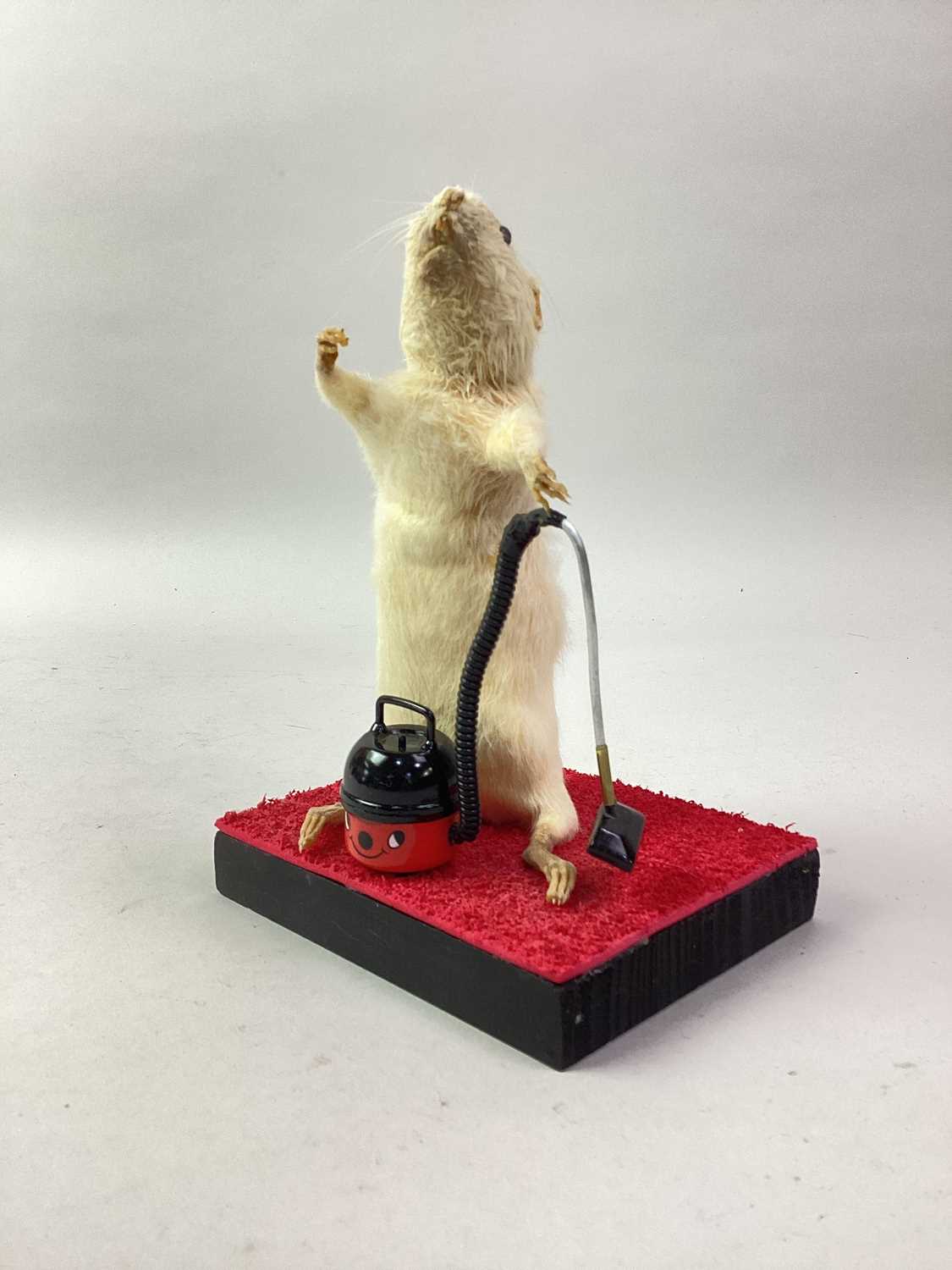 ANTHROPOMORPHIC TAXIDERMY STUDY OF A MOUSE, (MUS MUSCULUS) modelled ...