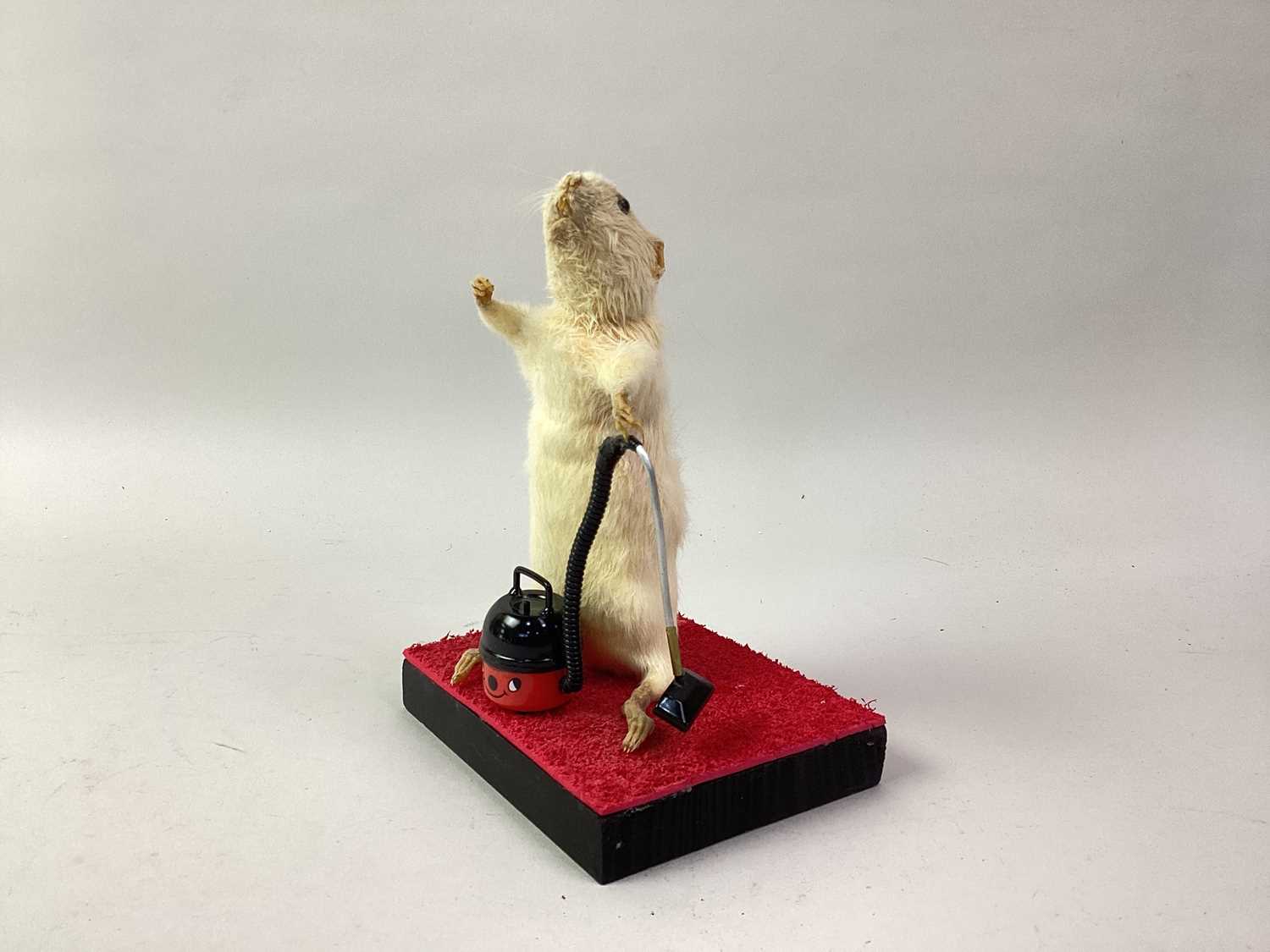 ANTHROPOMORPHIC TAXIDERMY STUDY OF A MOUSE, (MUS MUSCULUS) modelled ...