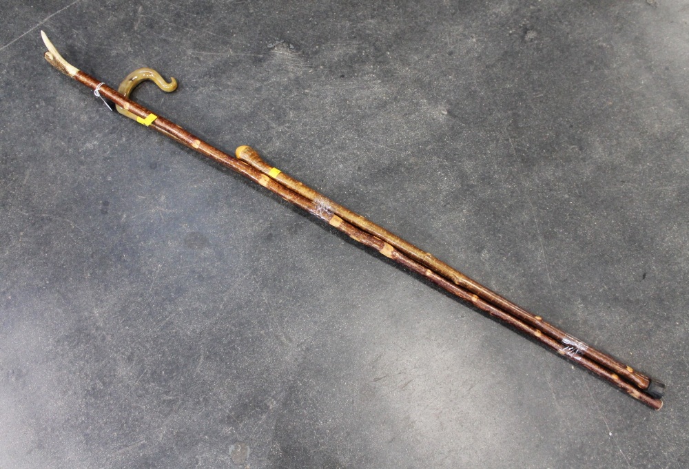 Shepherds crook and walking stick