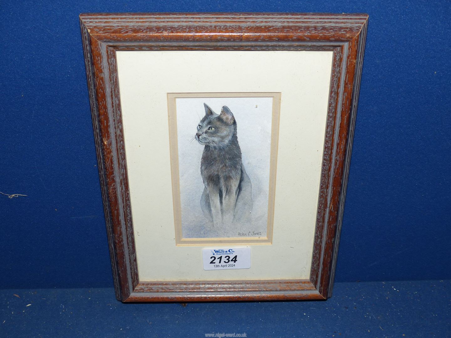 A small Watercolour of a cat by Hereford artist Helen C. Jones, 7 1/4 ...