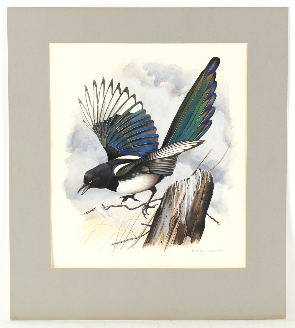 The estate of the late Barbara Tate (artist & writer, 1927-2009 ...