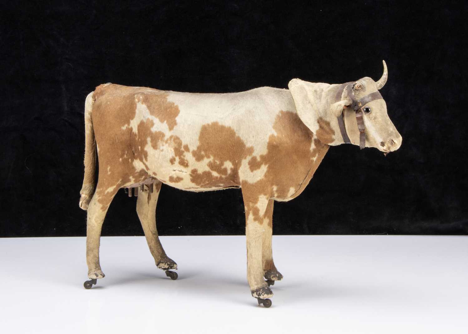 A late 19th century skin covered cow on wheels, with brown and white ...