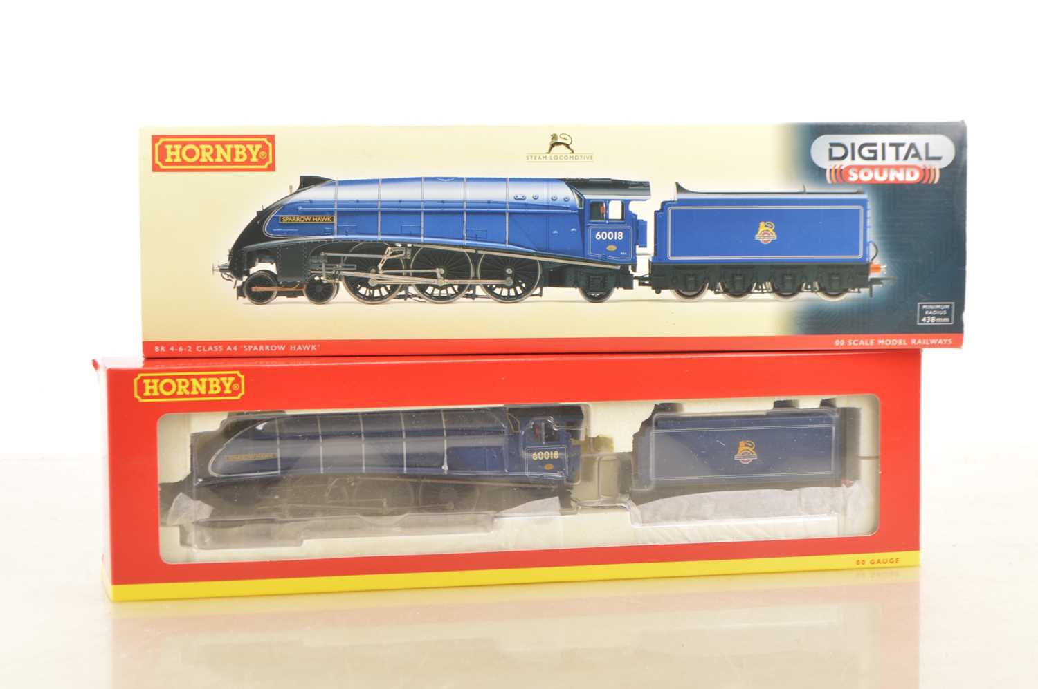 Hornby 00 Gauge R2991XS BR blue Class A4 60018 'Sparrow Hawk ...