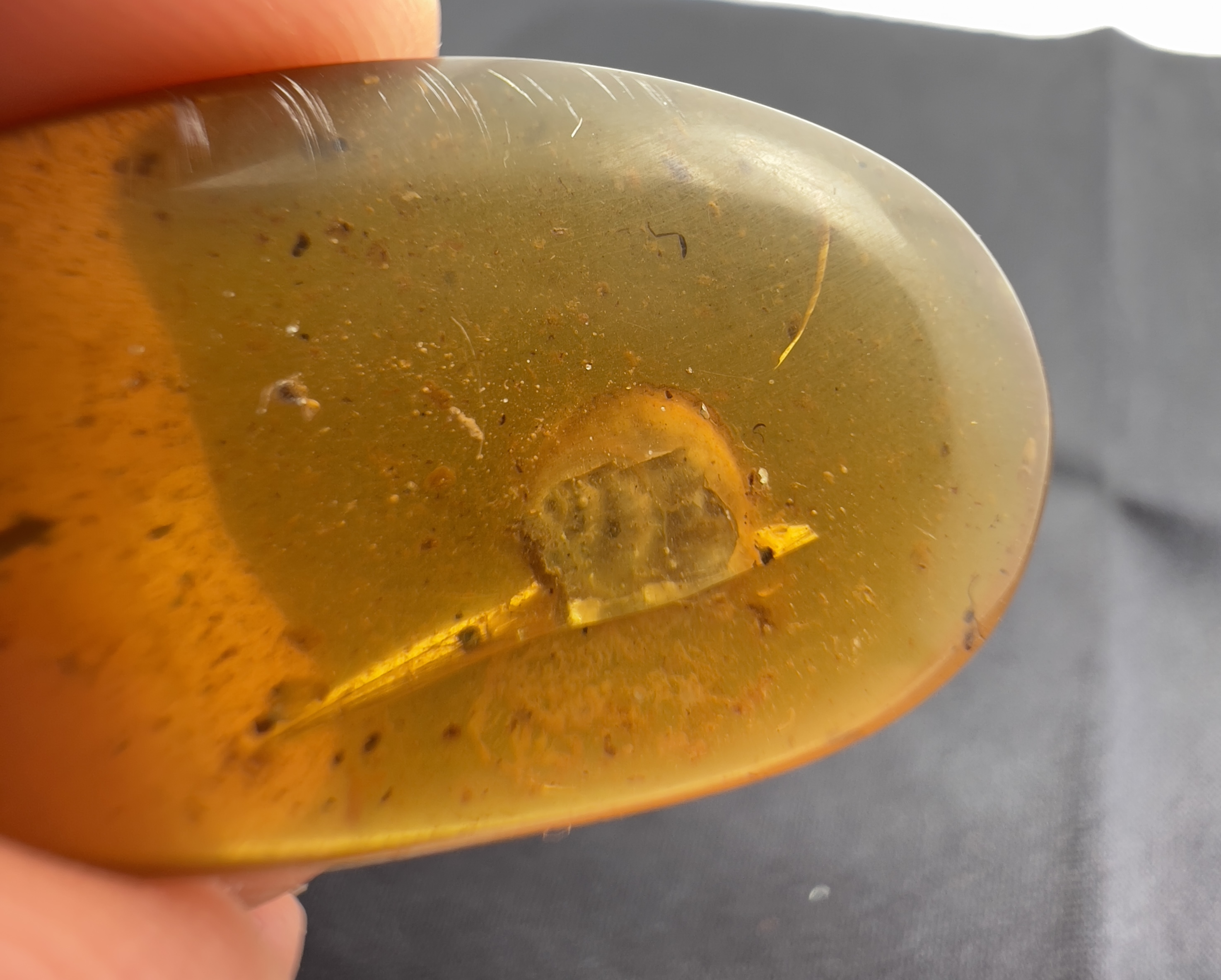 A DINOSAUR AGE SNAIL IN CRETACEOUS BURMESE AMBER MYANMAR FOSSIL. (2.73g ...