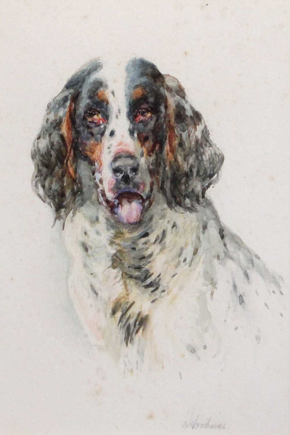 William Woodhouse (1857-1937) Study of a Spaniel Signed, watercolour ...