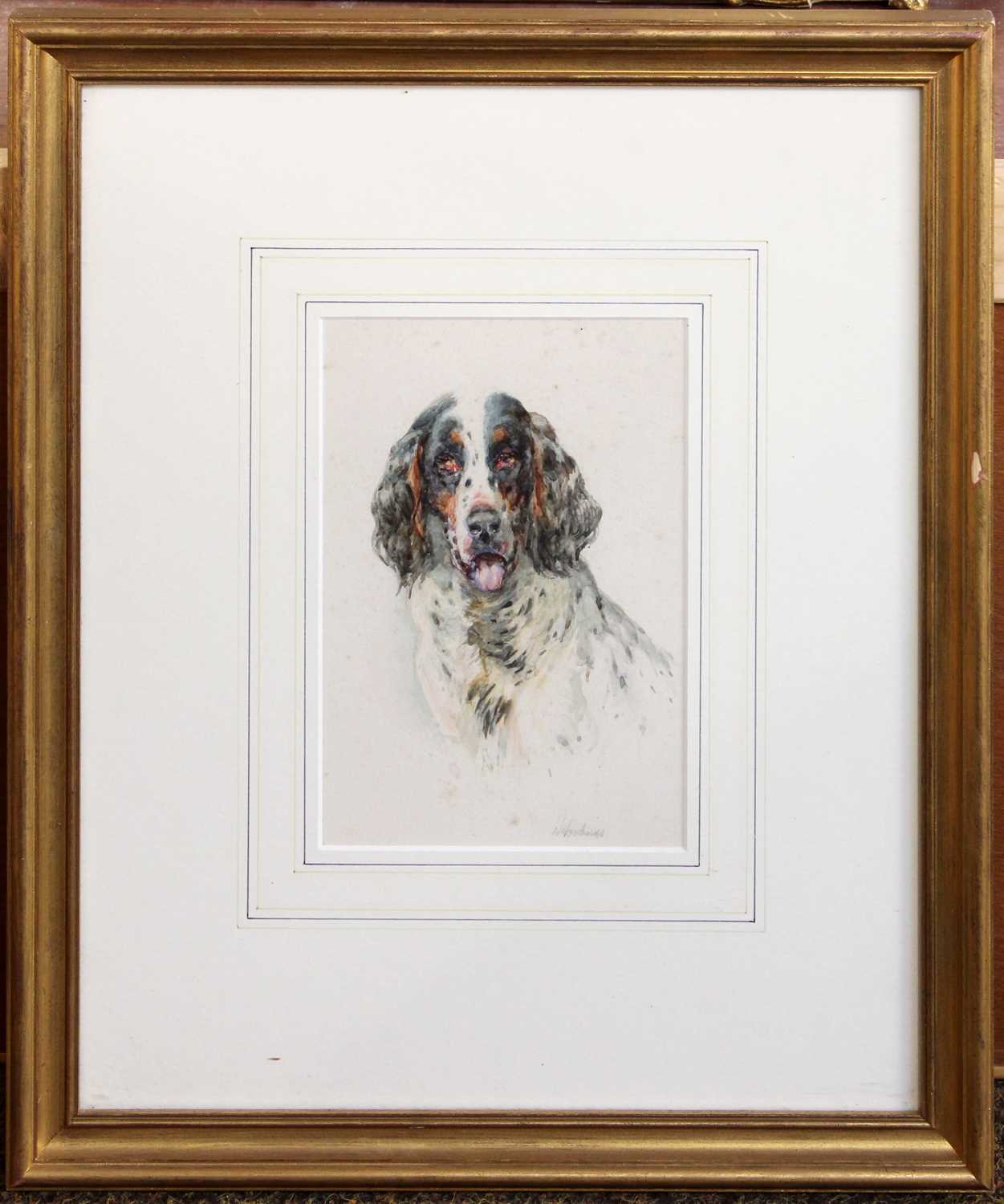 William Woodhouse (1857-1937) Study of a Spaniel Signed, watercolour ...