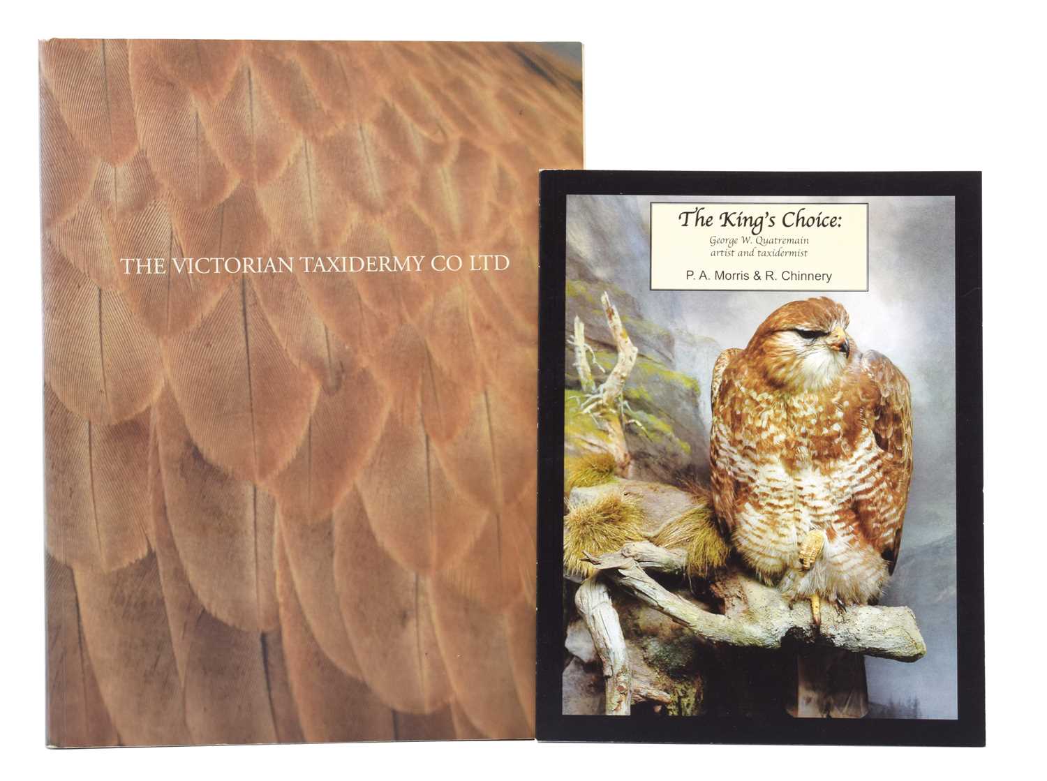 Natural History Books: "The Victorian Taxidermy Co Ltd", Chinnery ...