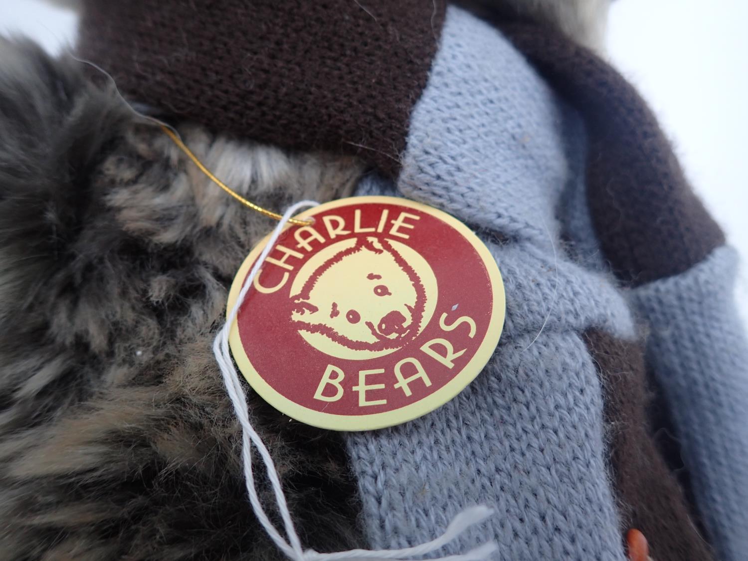Charlie Bears, Carter, with tag attached, stitch down nose and jointed ...