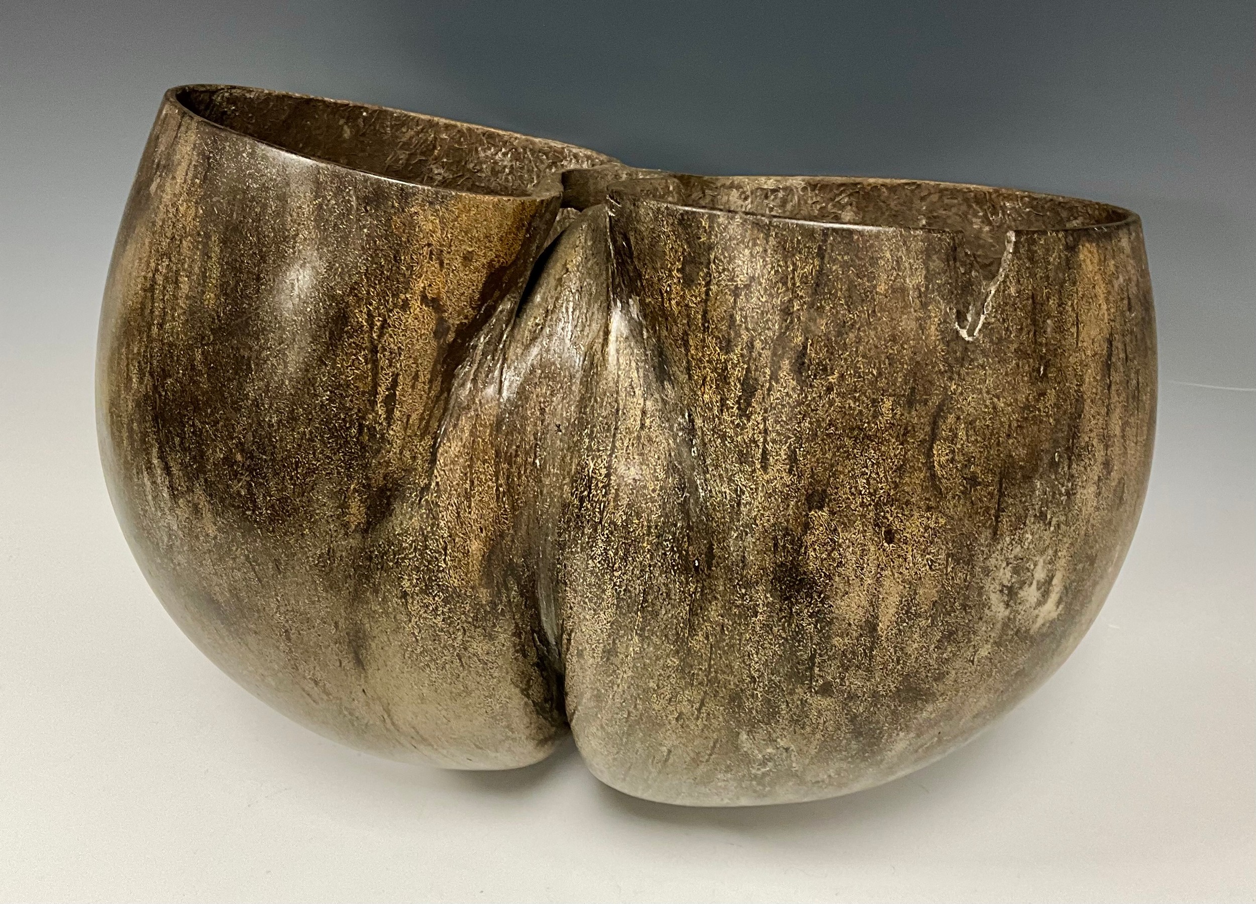 A late 19th century Coco-de-mer, (Lodoicea), cut as a twin-chambered ...