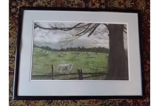 Sally Perry signed watercolour of sheep, framed and glazed 48cm x 67cm ...