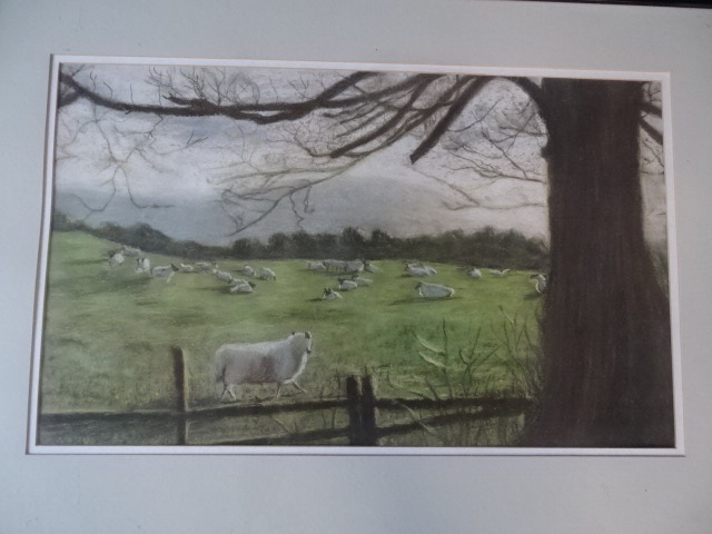 Sally Perry signed watercolour of sheep, framed and glazed 48cm x 67cm ...