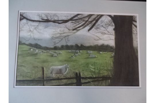Sally Perry signed watercolour of sheep, framed and glazed 48cm x 67cm ...