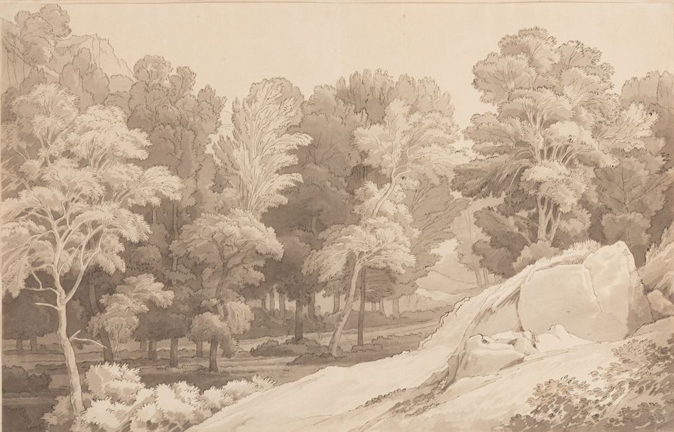 John White Abbot (British, 1763 - 1851) -Peamore Wood near Exeter -Pen ...