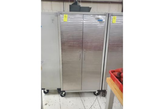 Rolling Cabinet. 36in wide x 18in deep x 72in tall.