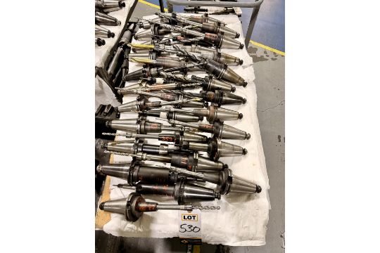 { Option of lots: 528, 529, 530, 531 } Approx (30)Cat 50 Taper Tool Holders