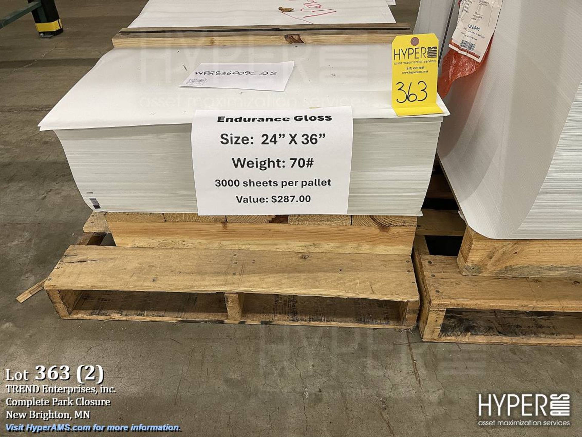 Endurance Gloss paper, 24" X 36" sheets, (Qty 3,000 sheets)