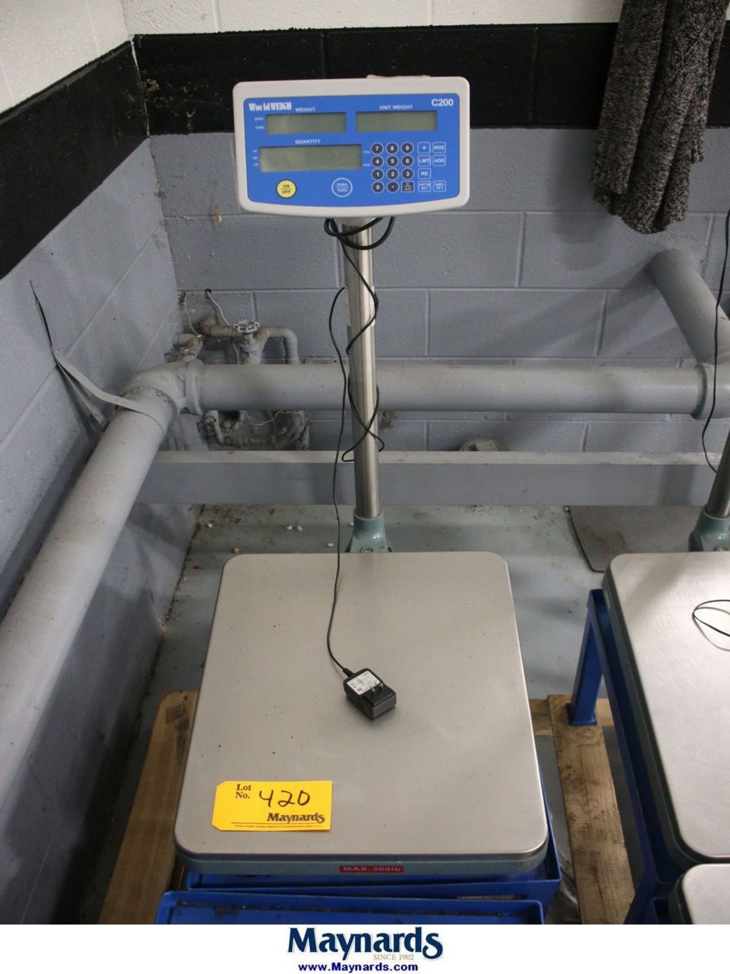 World Weigh Model C200 Digital Weighing/Counting Scale 300lb Capacity