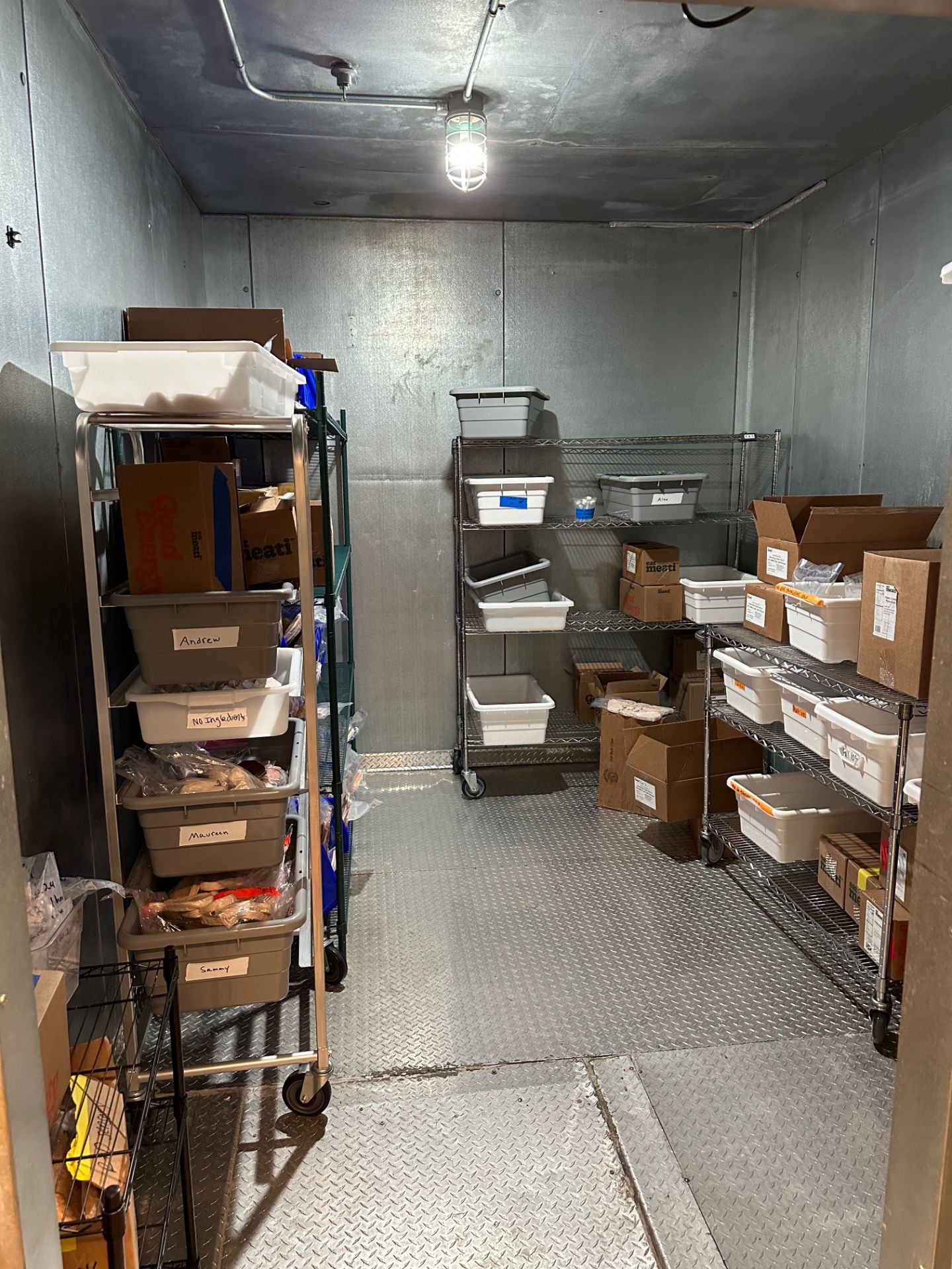 Hussman Walk-In Freezer with Trenton Evaporation Unit and Shelving ...