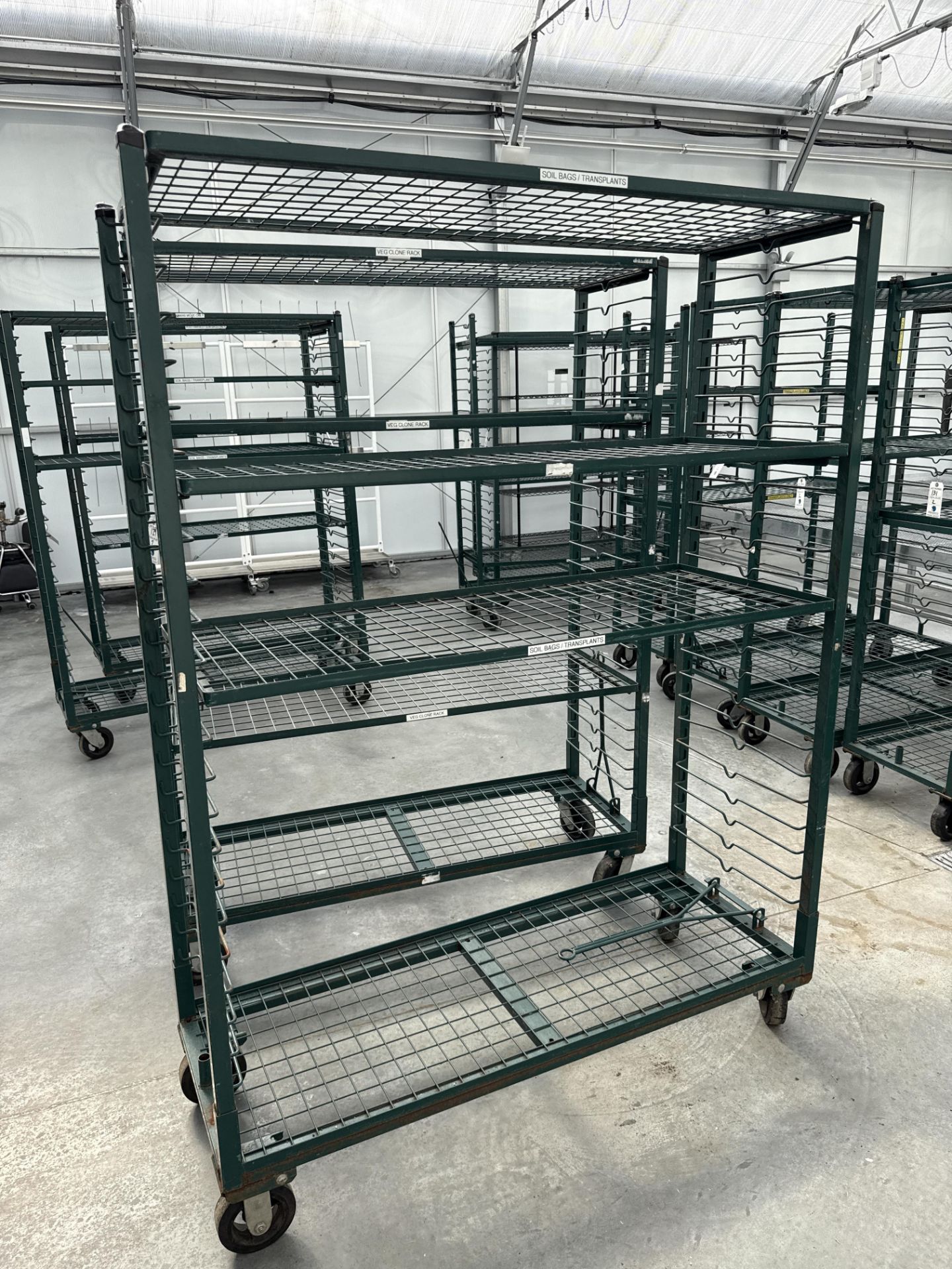 {LOT} (2) 56