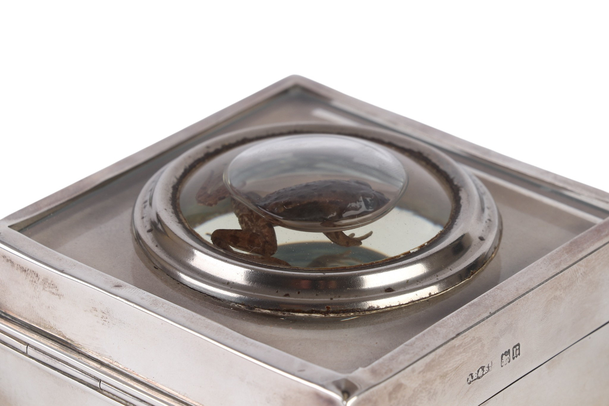 Taxidermy. A silver mounted tabletop cigarette box, the top mounted ...