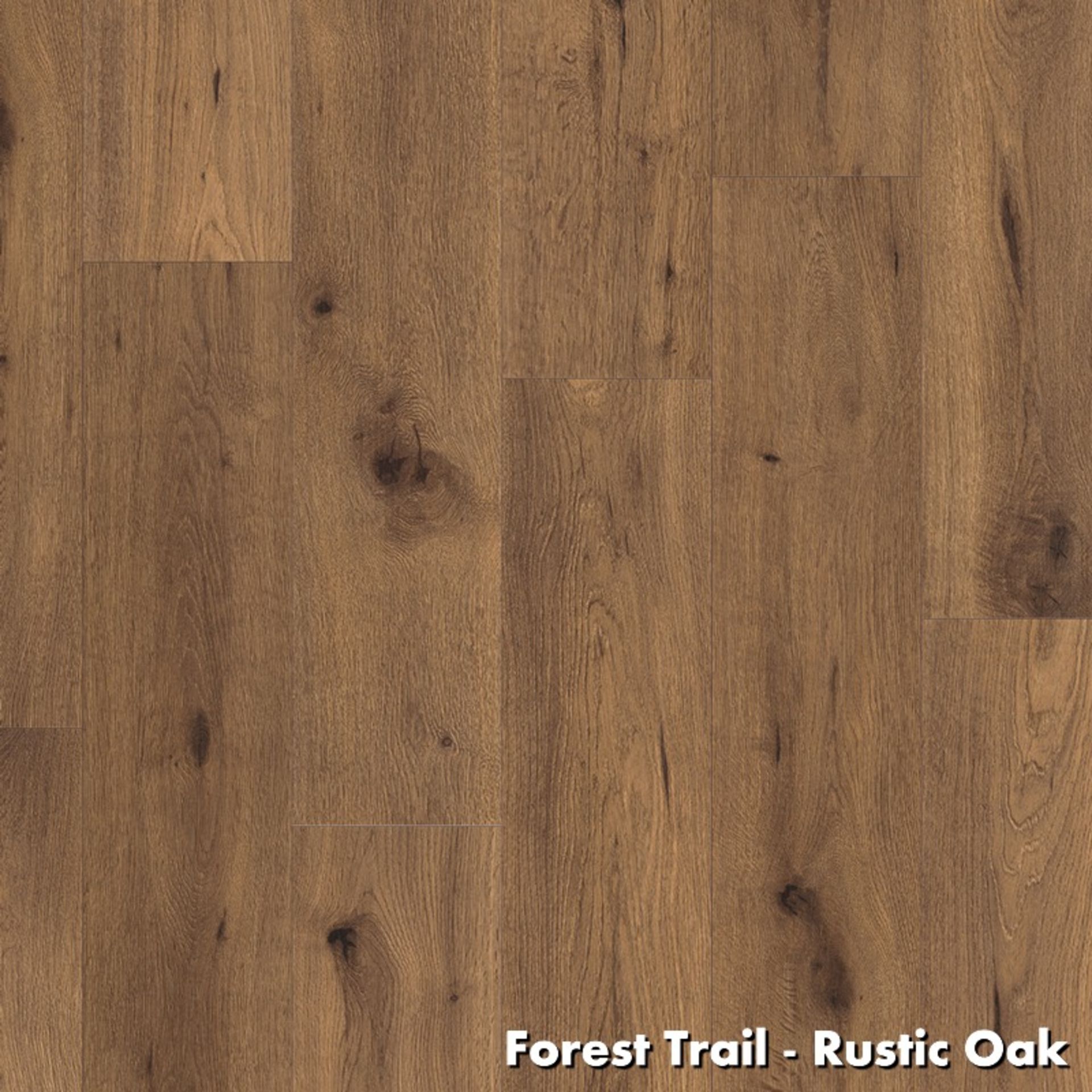 52 x Packs of Brand new Egger Forest Trail Rustic Oak Laminate Flooring ...