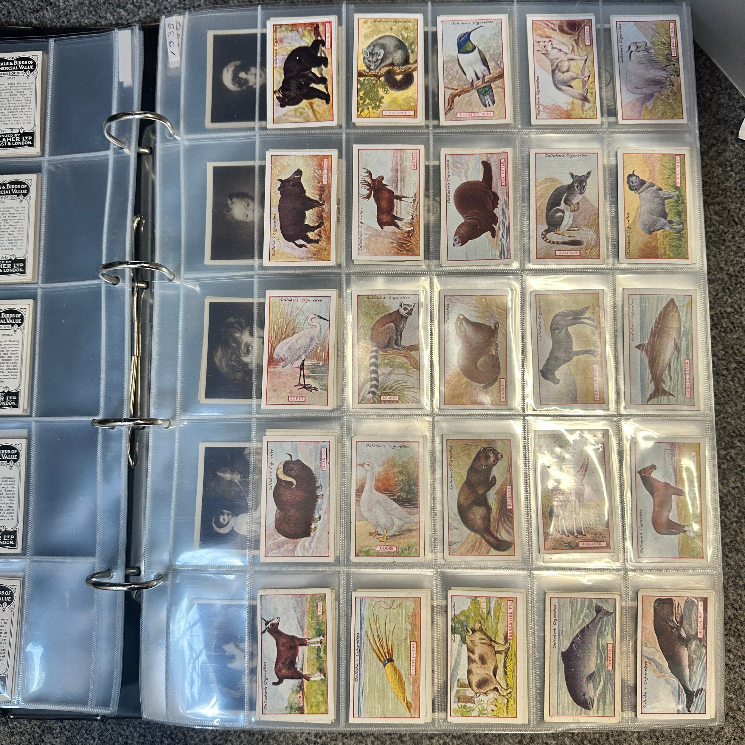 Gallagher cigarette cards, complete sets in a large album, in very good ...