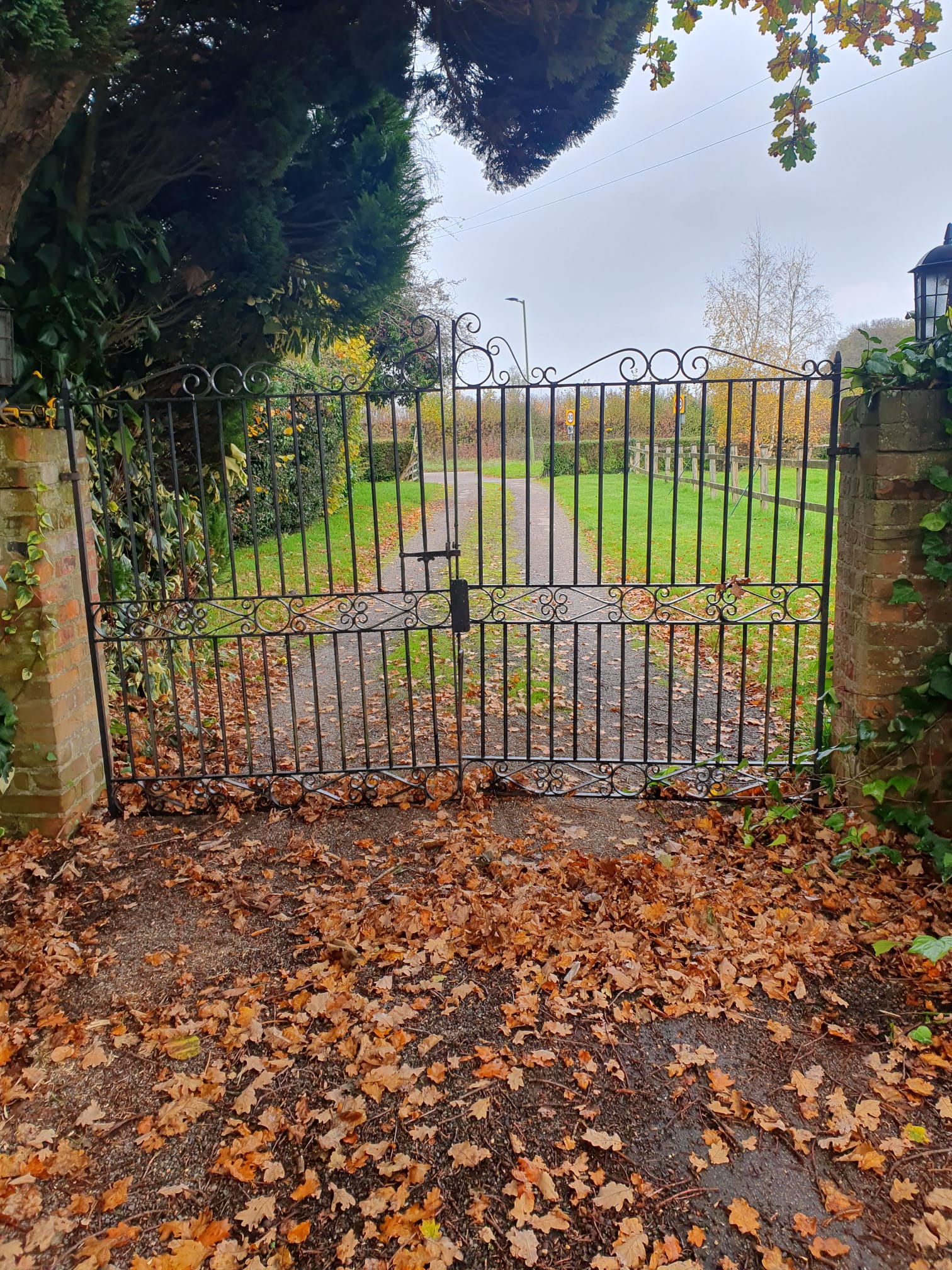 A pair of early 20th Century wrought iron gates, approx 208cm wide x ...