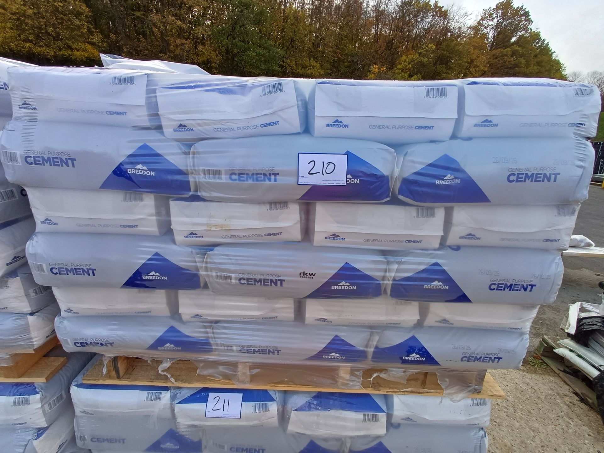 Pallet of 60 bags, 25Kg bags of Breedon General Purposae Cement ...