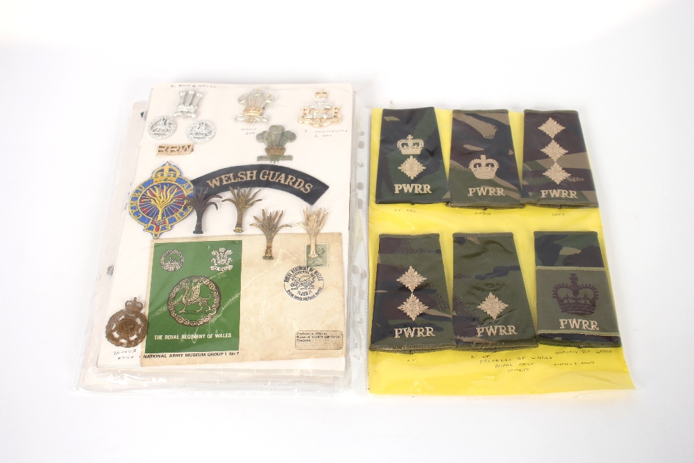 A collection of Welsh Regiments badges and insignia