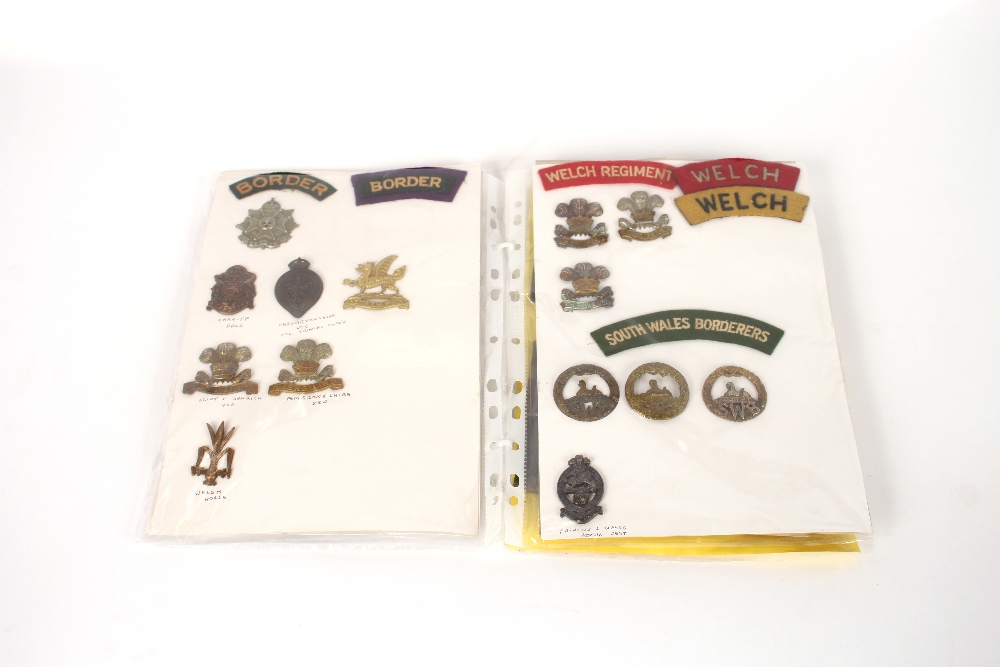 A collection of Welsh Regiments badges and insignia