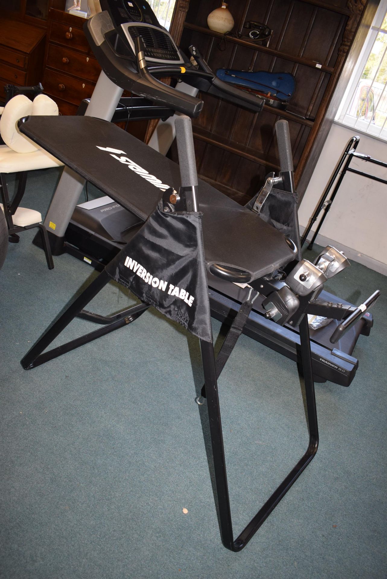 Stamina inversion table back swing