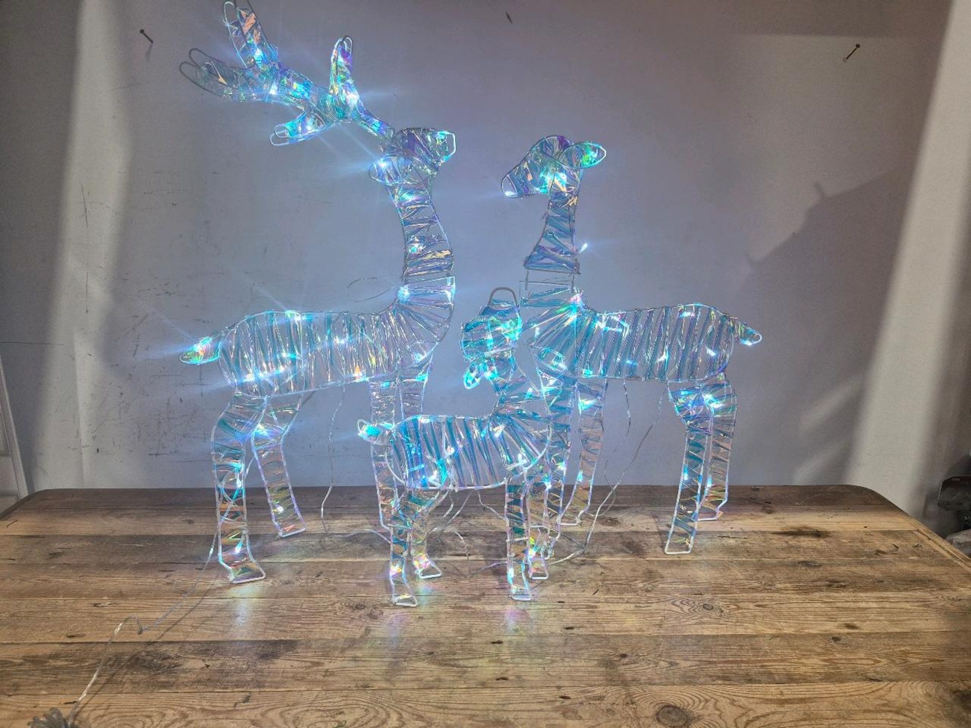 2D Holographic Deer Family Approximate Dimensions Height Of Largest ...
