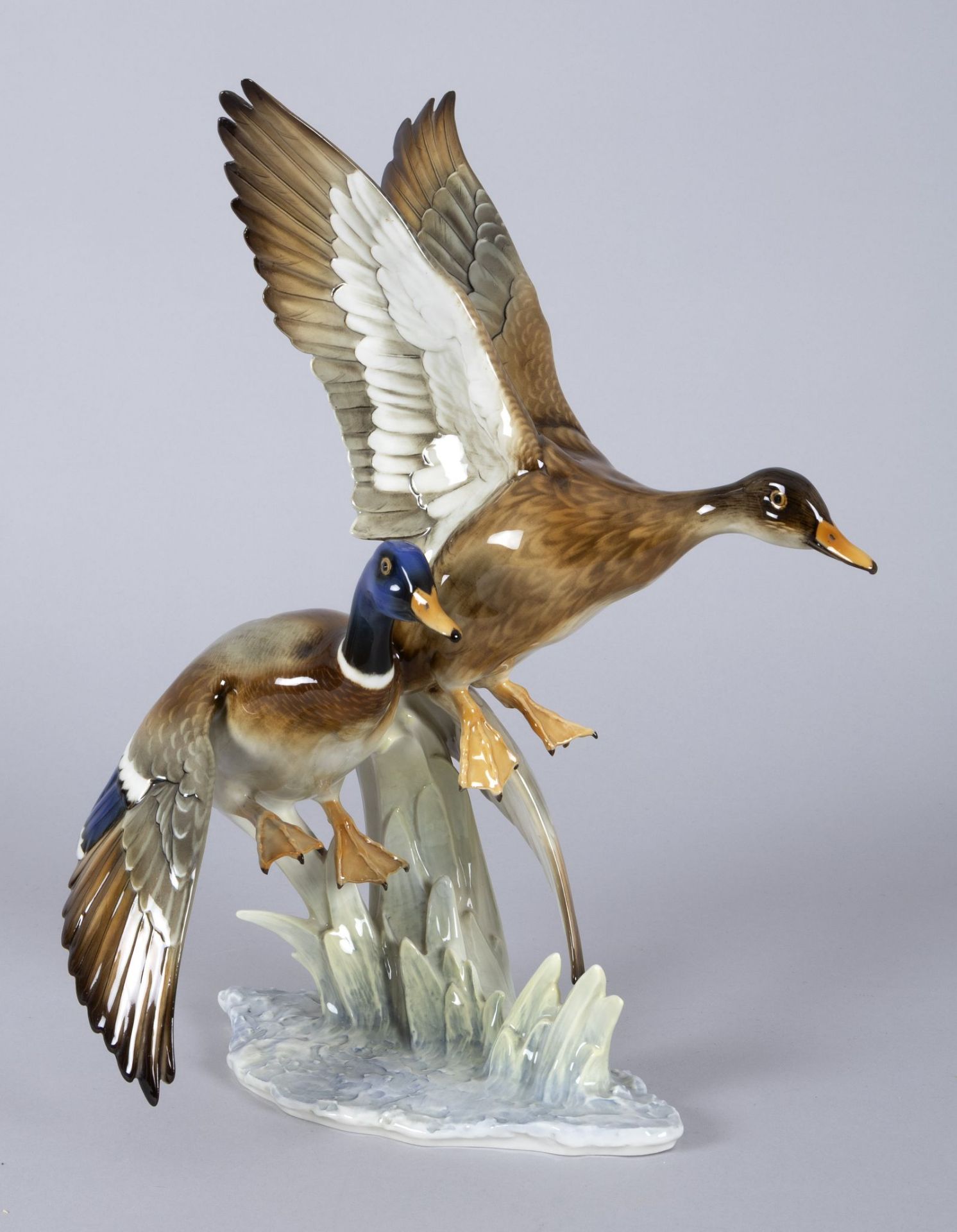 WildentenZwei Wildenten im Schilf, eine aufsteigend. Polychrome ...