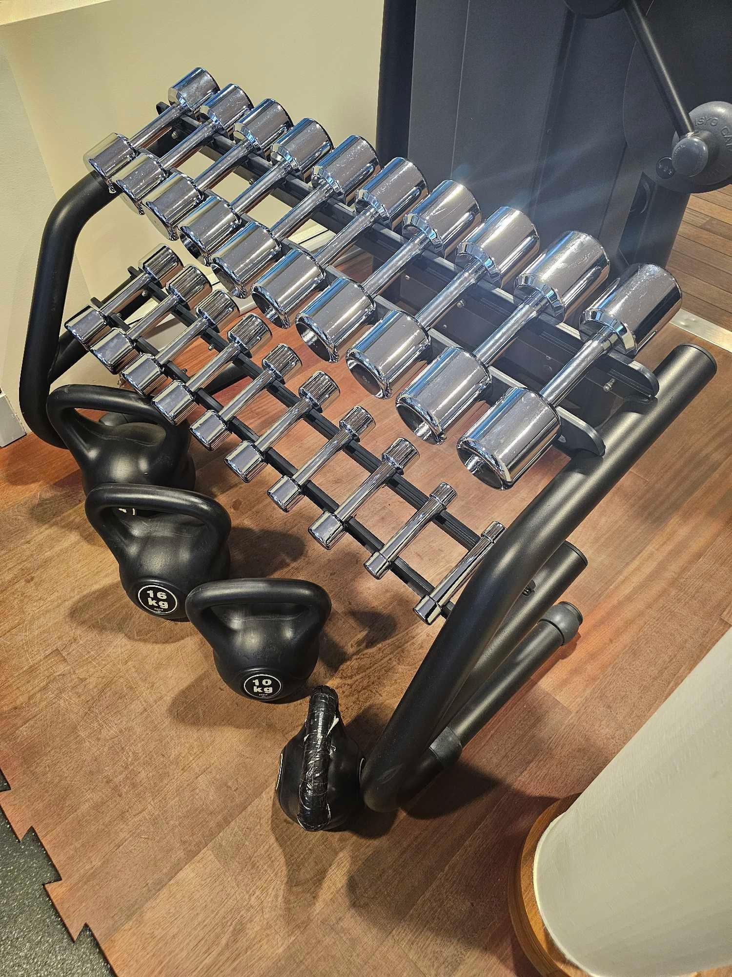 Technogym A00364 dumbbell storage rack with 20 x chrome dumbbells 1 ...