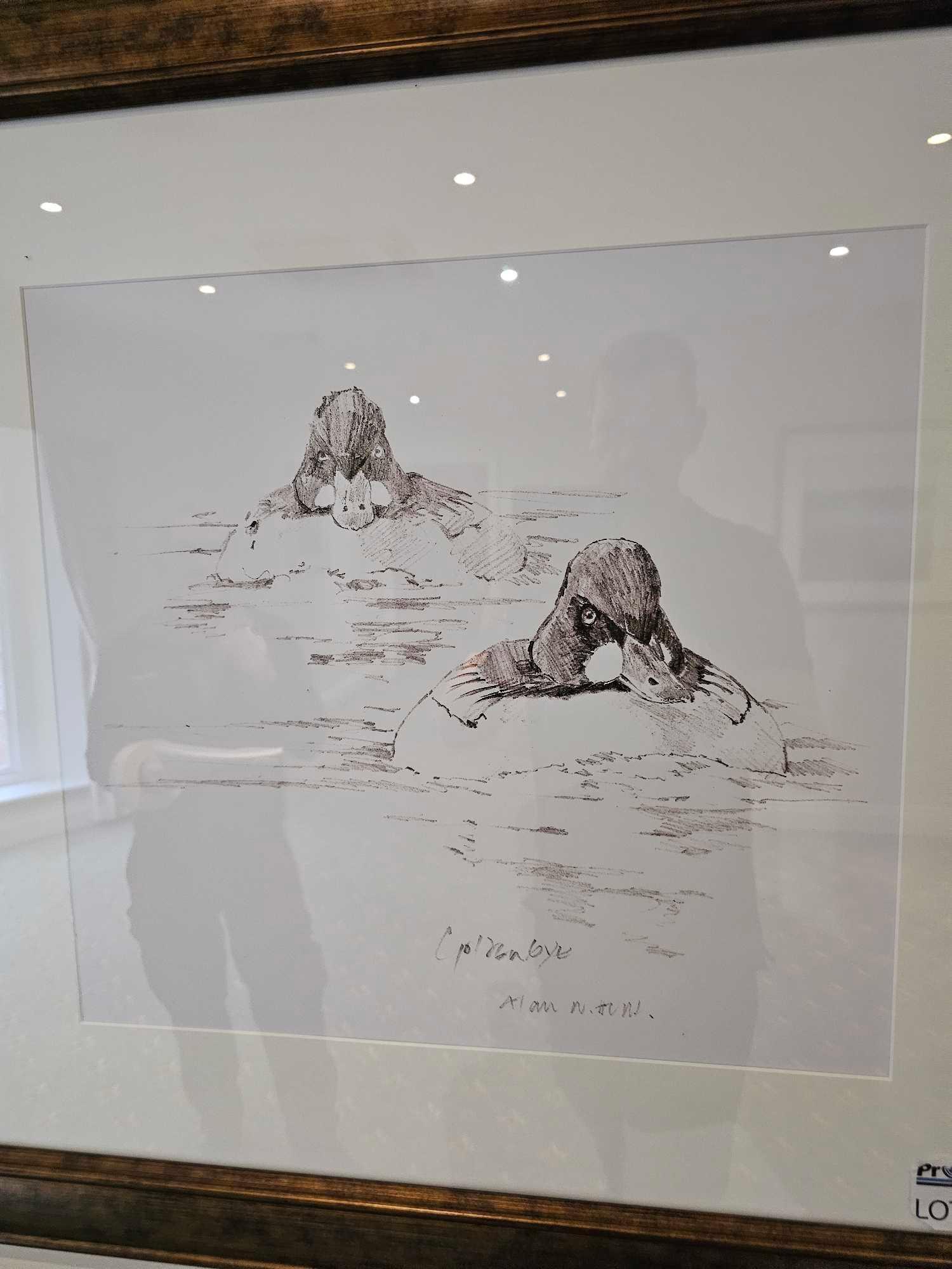 Framed print Golden Eye signed Alan Wittert glazed and framed 85 x 81cm ...
