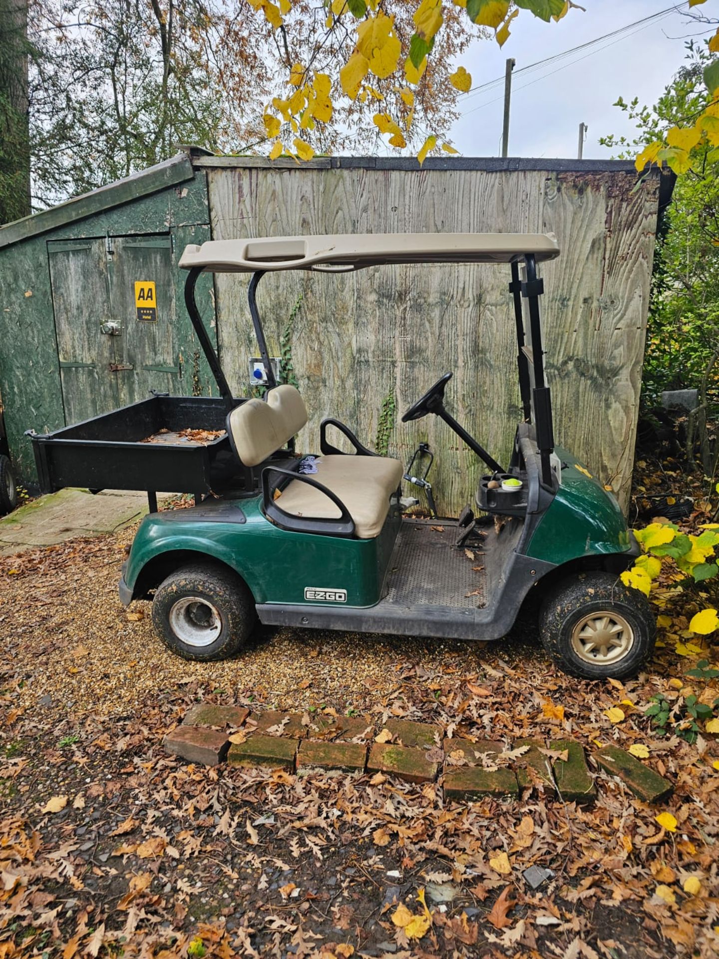 EZGO Golf Buggy with Canopy – 2-Seater Petrol Model (Kawasaki Engine ...