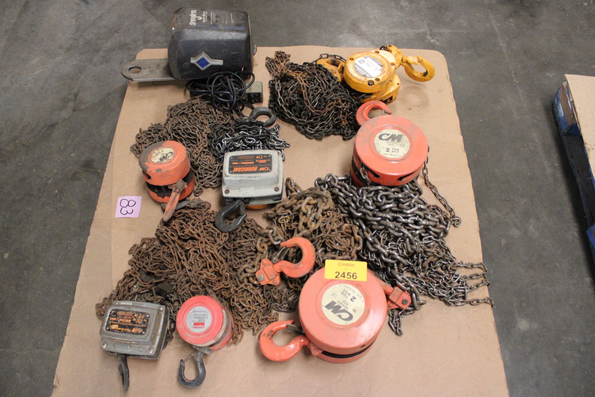 [Lot] of Assorted chain hoists on (2) pallets consisting of approx (9 ...