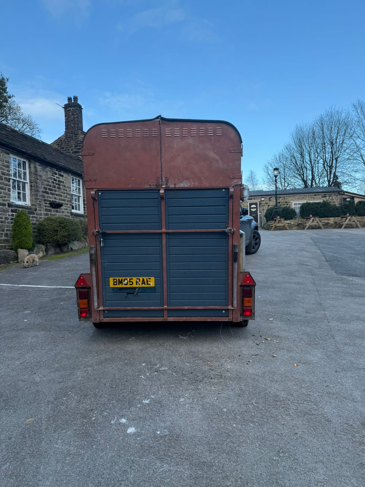 Ifor Williams HB505R Horse Box Pizza Trailer Fitted with Two Electric ...