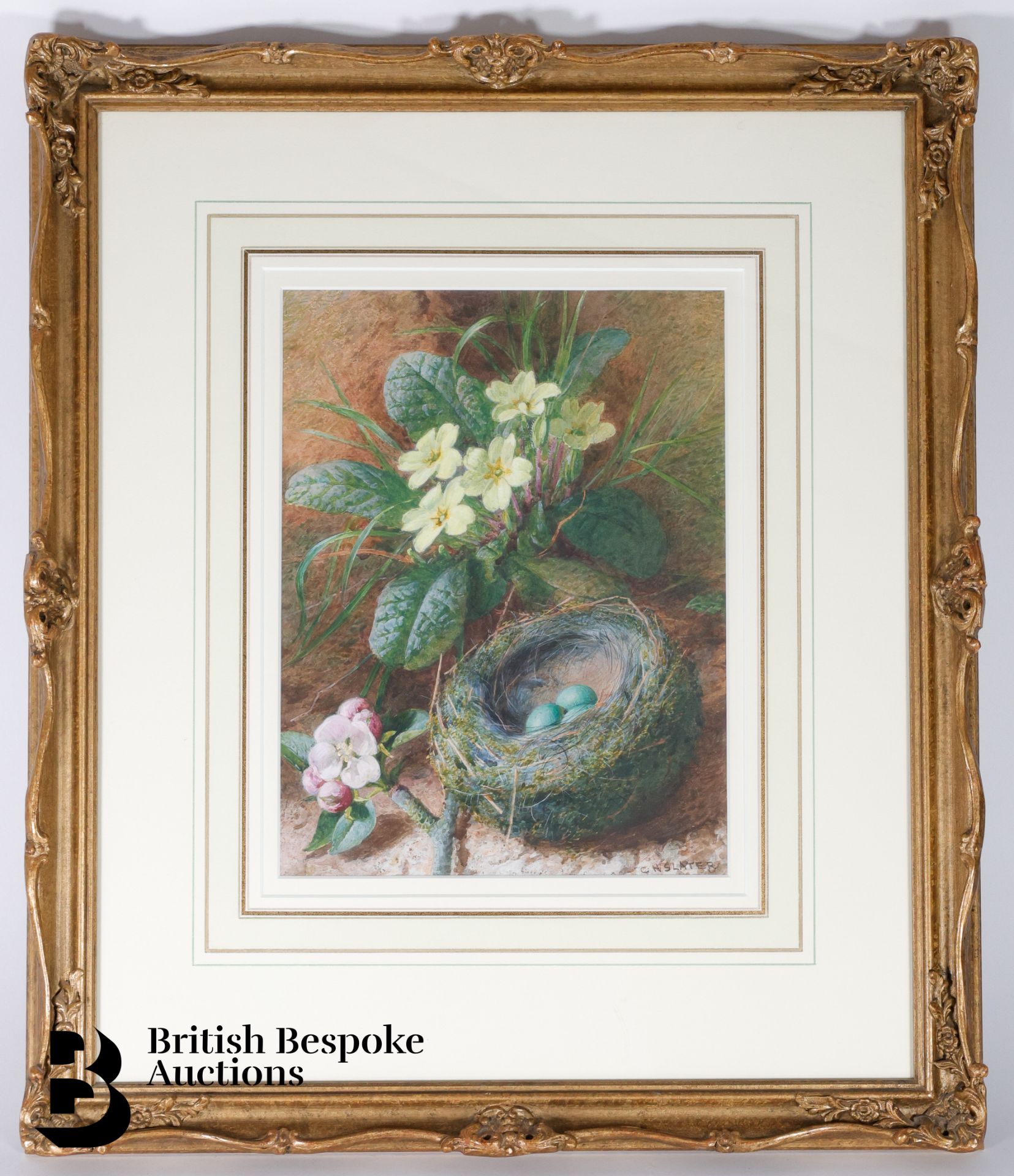 Charles Henry Slater (1820-1890) watercolour depicting a birds nest ...