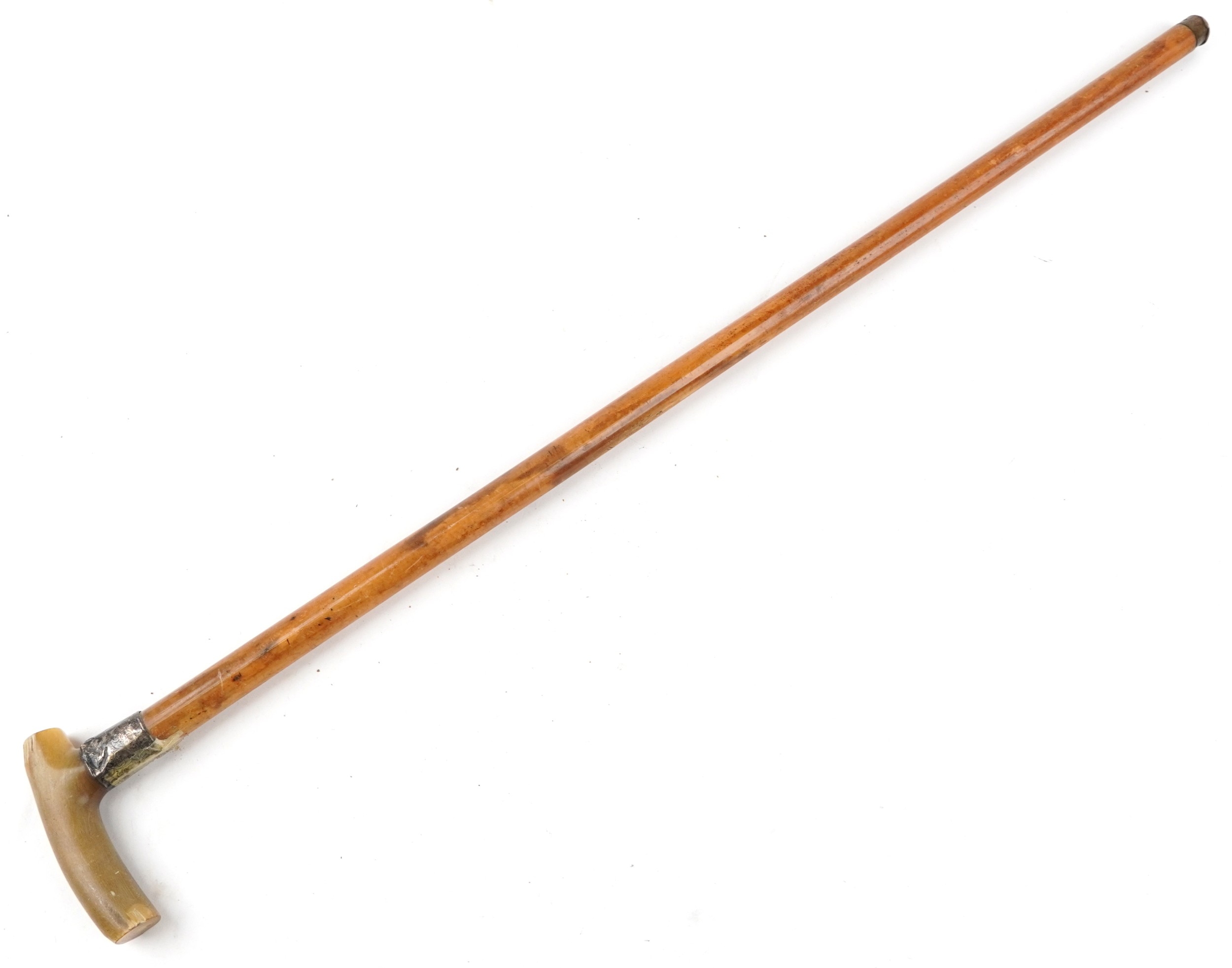 An early 20th century malacca walking cane with horn handle and silver ...