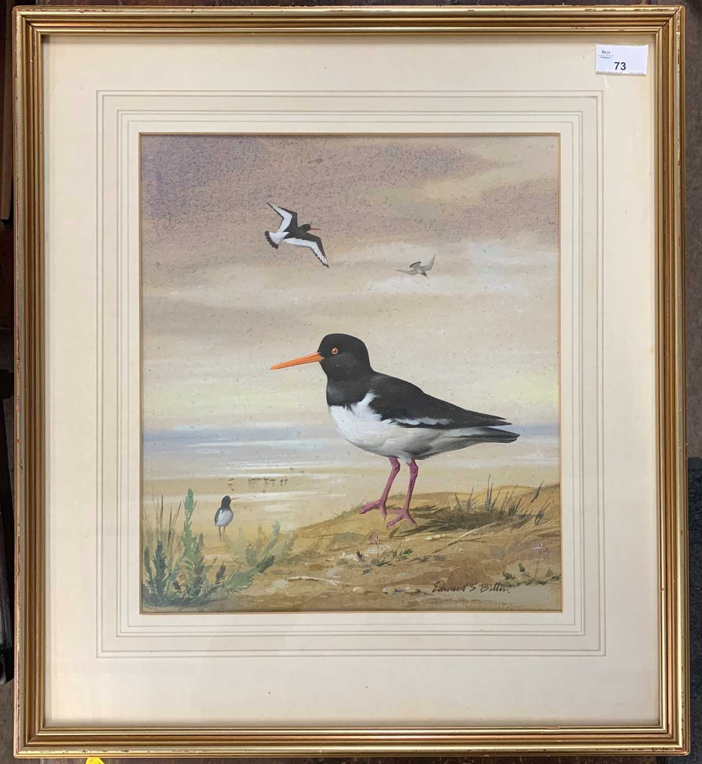 Edward S. Billin RA RWS (1911-1995) Oyster Catchers, watercolour ...