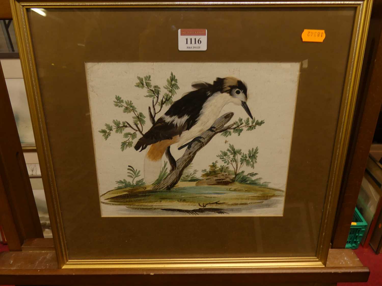 19th century school - bird upon a branch, mixed media with feathers and ...