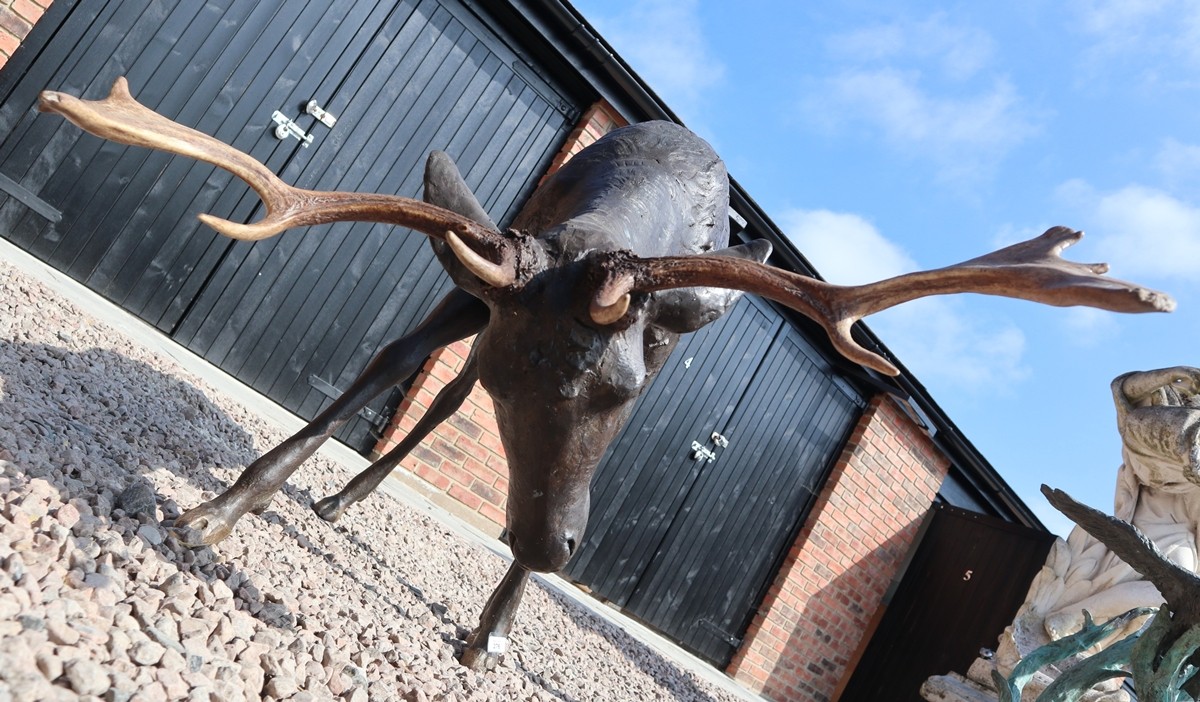 Large bronze statue of a stag with real antlers - Approx H: 93cm L ...
