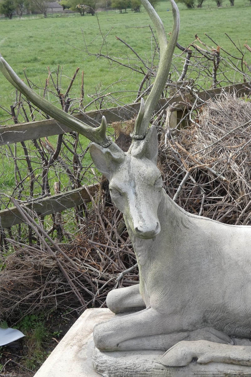 Stone statue of recumbent deer on stone plinth with real antlers ...