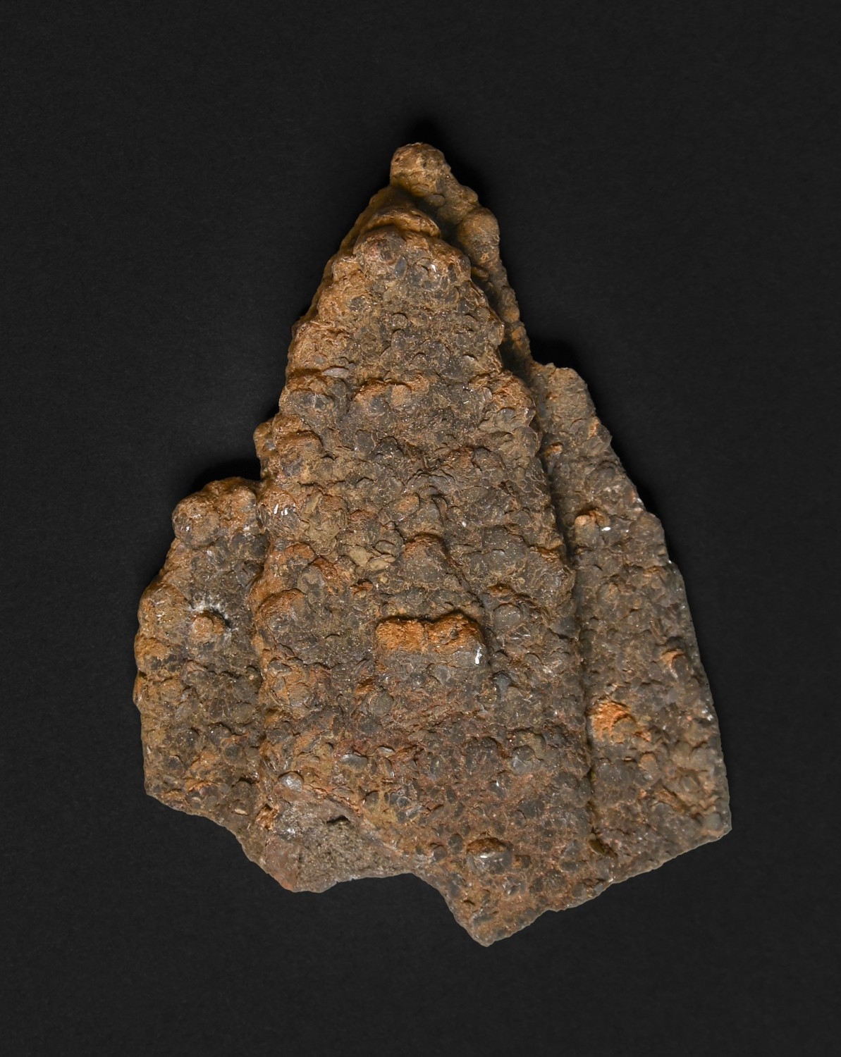 Chalybite pseudomorphous after Baryte, Virtuous Lady Mine, Tavistock ...