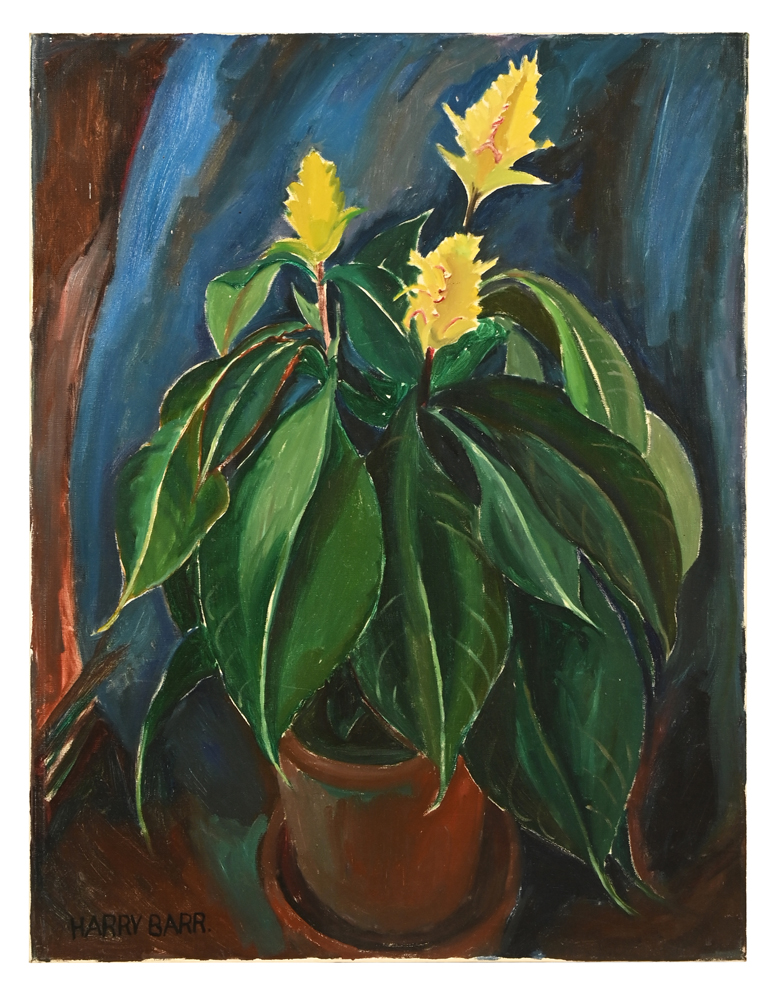 Harry Barr (1896-1987), oil on canvas, still life of a potted plant. 92 ...